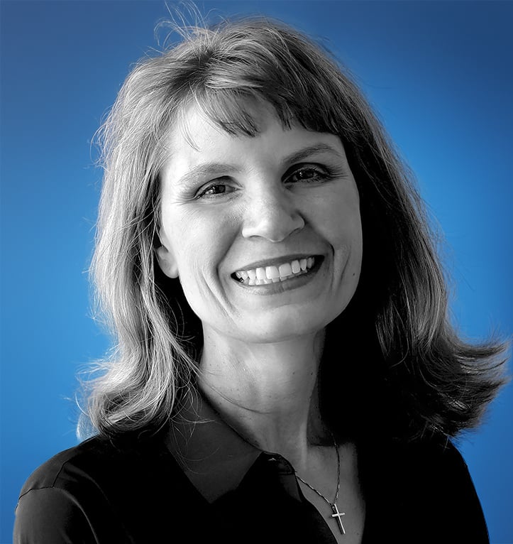 Deltek Vision Information